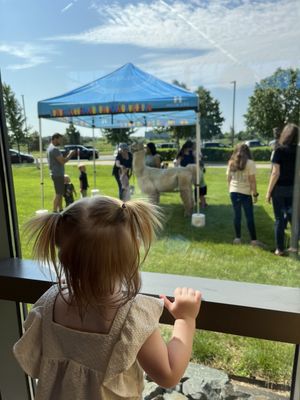 HENNEPIN COUNTY LIBRARY - MAPLE GROVE LIBRARY - Updated October 2025 ...