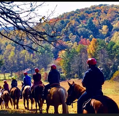 BLUE RIDGE MOUNTAIN TRAIL RIDES - 159 Photos & 24 Reviews - 319 Hell's ...