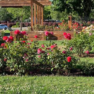 SIMPLOT SPORTS COMPLEX - Updated June 2025 - 2401 E Lake Forest Dr ...