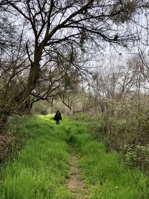 CASWELL MEMORIAL STATE PARK - Updated September 2025 - 190 Photos & 123 ...