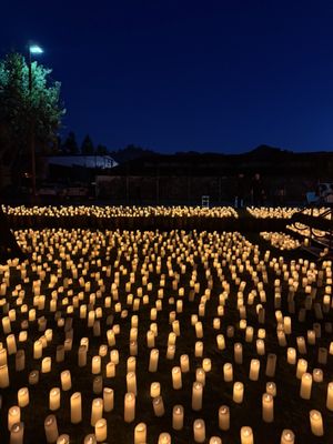 LOS ANGELES EQUESTRIAN CENTER - Updated December 2025 - 169 Photos & 88 ...