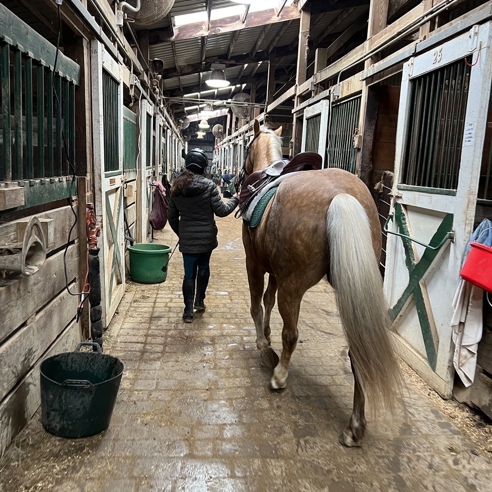 Boarding stables near me store