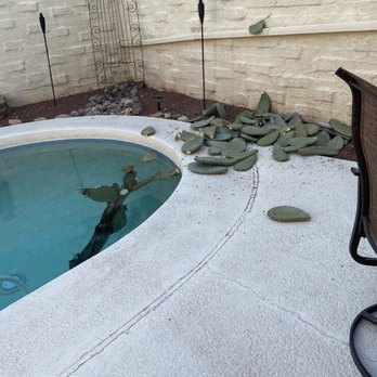 TREE MONKEY TREE TRIMMING - Updated September 2025 - 109 Photos & 67 ...