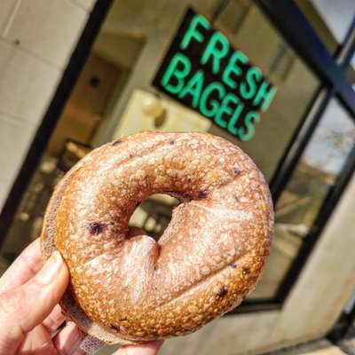 THE BAGELRY - Updated December 2025 - 83 Photos & 60 Reviews - 3212 ...