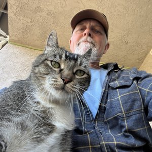 INNERCARE - Updated June 2025 - 50249 Cesar Chavez St, Coachella ...