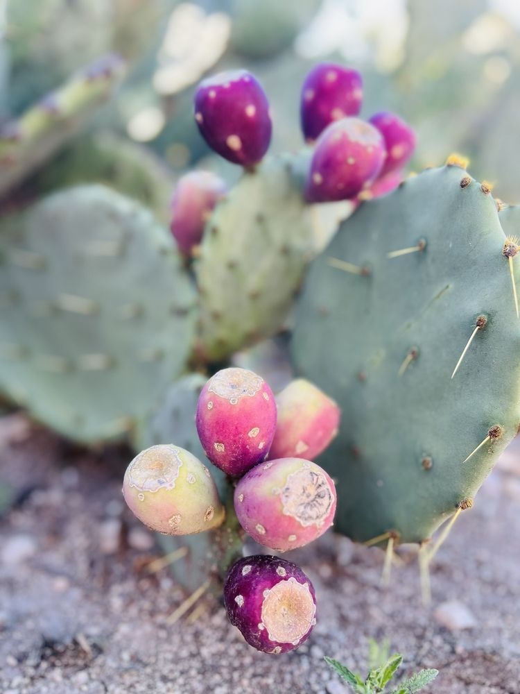 DEVILS RIVER STATE NATURAL AREA - Updated December 2025 - 40 Photos ...