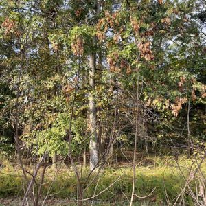 AMTRAK/MARC - BWI RAIL STATION - 107 Photos & 100 Reviews - Train ...