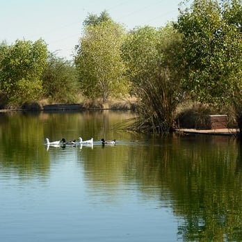 RIO SALADO HABITAT RESTORATION AREA - Updated August 2025 - 48 Photos ...