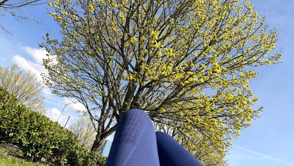 CASCADE STATION - Updated October 2025 - 42 Photos & 50 Reviews - 9721 ...