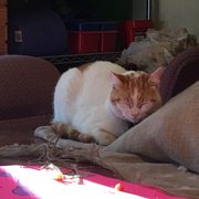 TRAK - THERAPEUTIC RANCH FOR ANIMALS AND KIDS - 49 Photos - 3250 E ...