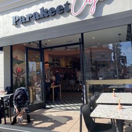 PARAKEET CAFÉ - Updated January 2026 - 193 Photos & 173 Reviews - 1935 ...