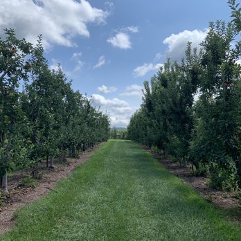 PHILLIPS FARMS - Updated November 2025 - 91 Photos & 24 Reviews - 91 ...