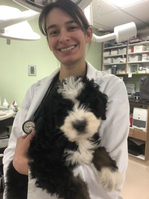 ST. MATTHEWS ANIMAL CLINIC - Updated December 2025 - 85 Photos & 47 ...