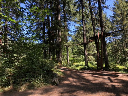 TREE TO TREE ADVENTURE PARK - Updated July 2025 - 218 Photos & 135 ...