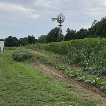 SILVERTON FARM - Updated December 2025 - 18 Photos & 13 Reviews - 1520 ...