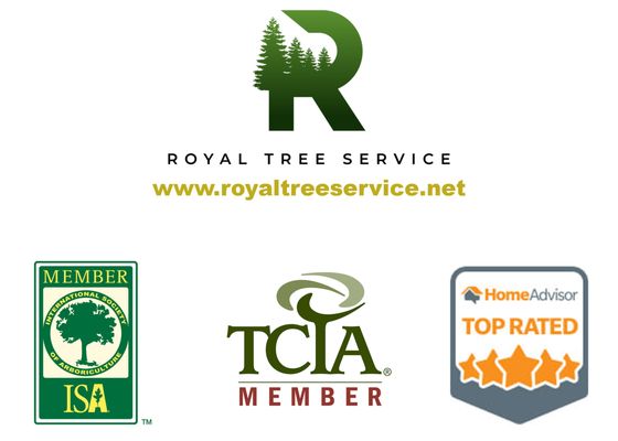ROYAL TREE SERVICE - Updated July 2025 - 5211 Countryside St NE, Salem ...