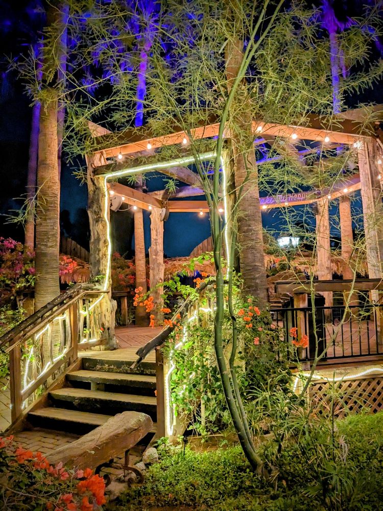 BOOJUM TREE HIDDEN GARDENS - 175 Photos & 83 Reviews - 16026 N 36th St ...