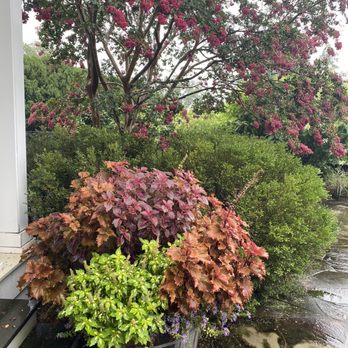 SEPTENARY WINERY AT SEVEN OAKS FARM - Updated December 2024 - 73 Photos ...