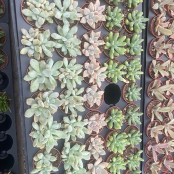 ISAAC FARMS - Updated January 2026 - 456 Photos & 113 Reviews - 18800 ...