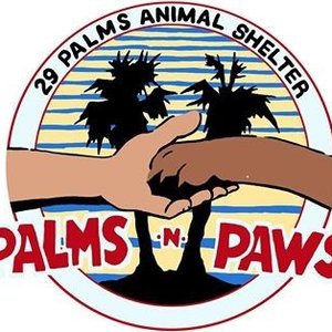 YUCCA VALLEY ANIMAL SHELTER - Updated September 2025 - 153 Photos ...