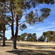 CRAIG RANCH REGIONAL PARK - 824 Photos & 206 Reviews - 628 W Craig Rd ...