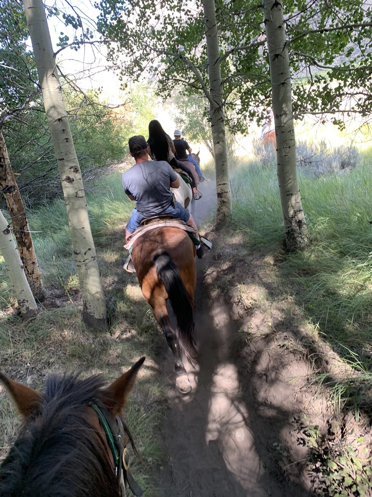 FRONTIER PACK TRAIN with photos - Updated August 2024 - 18 Photos & 19 ...