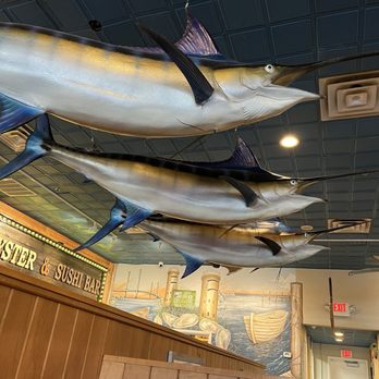 BIG FISH GRILL REHOBOTH - Updated July 2025 - 884 Photos & 917 Reviews ...