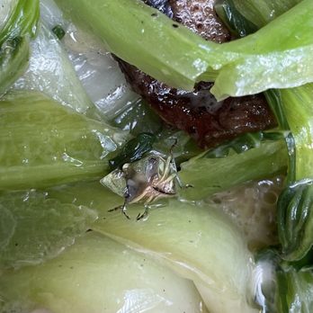 YUMAMI - Updated April 2025 - 126 Photos & 166 Reviews - 2929 1/2 N ...