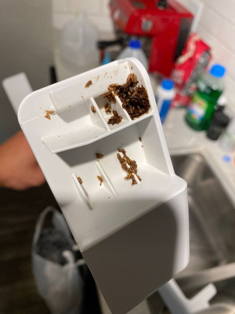 PALMETTO AT EAST MIL - Updated August 2025 - 36 Photos - 4444 Rio ...