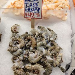 Best Fish Stores Near Me - December 2025: Find Nearby Fish Stores ...