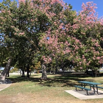 BROOKHURST COMMUNITY PARK - Updated August 2024 - 52 Photos & 31 ...