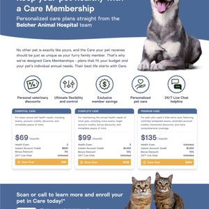 FETCH SPECIALTY & EMERGENCY VETERINARY CENTERS - Updated December 2025 ...