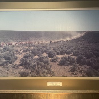 ROOSTER’S STEAK & CHOP HOUSE - Updated May 2024 - 74 Photos & 221 ...