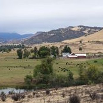 CHUTE BOXE KC - Updated October 2025 - 58 Photos - 9530 Marshall Drive ...