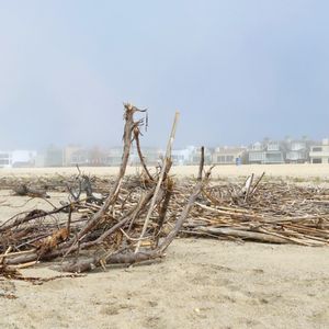 BEACH AT OXNARD SHORES - Updated June 2025 - 61 Photos - 5th St ...