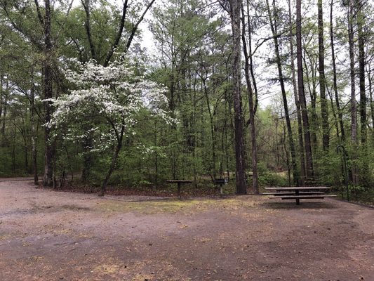 BROAD RIVER CAMPGROUND - Updated August 2025 - 8181 Elberton Hwy ...