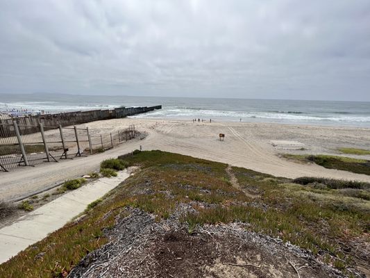 BORDER FIELD STATE PARK - Updated August 2025 - 473 Photos & 57 Reviews ...