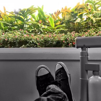 CHOCK KYLE S Q DMD - Updated October 2025 - 212 Ululani St, Hilo ...