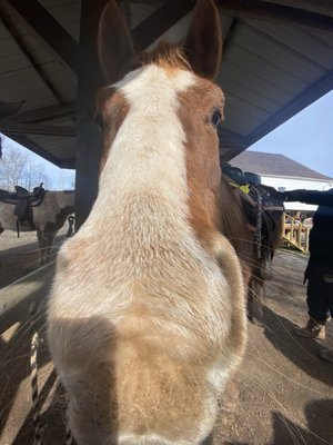 RED BUFFALO RANCH - Updated October 2025 - 69 Photos & 62 Reviews ...