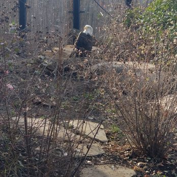 TRACY AVIARY - Updated June 2025 - 529 Photos & 192 Reviews - 589 E ...