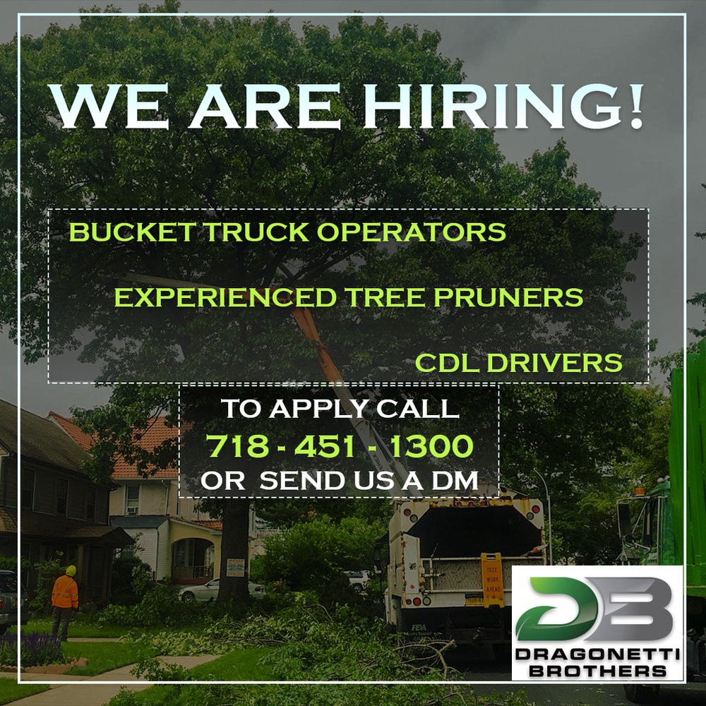 DRAGONETTI BROTHERS LANDSCAPING - Updated May 2025 - 27 Photos & 46 ...