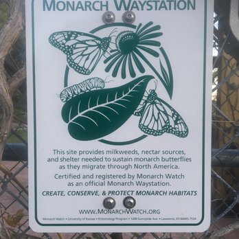 SEGO LILY GARDENS - Updated December 2025 - 1472 Sego Lily Dr, Sandy ...