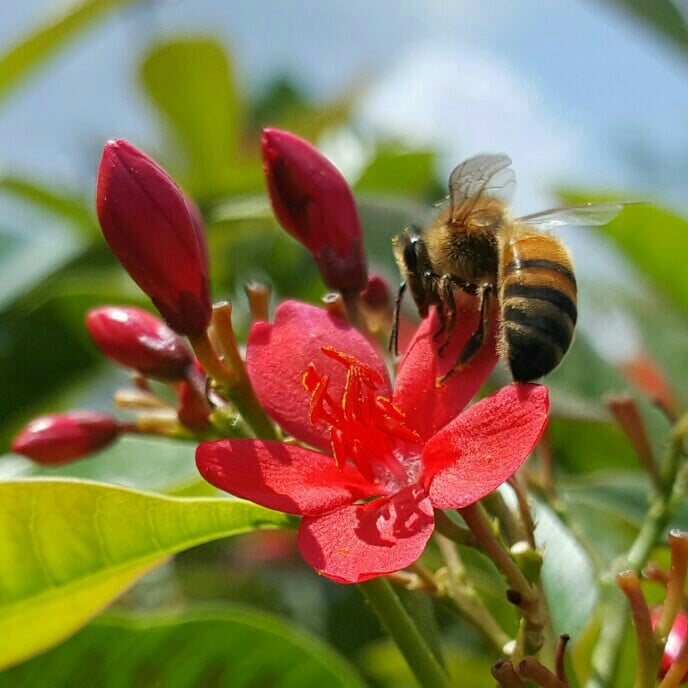 RUPERTAN - Updated October 2025 - 63 Photos - 118 3rd Wahneta St W ...