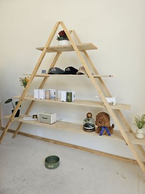 STRAY DOGS COFFEE ROASTERS - Updated May 2025 - 173 Photos & 74 Reviews ...