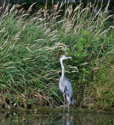 CANDLEWICK LAKE ASSOCIATION - Updated January 2026 - 17 Photos - 13400 ...
