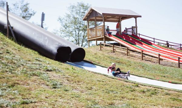 ROCA BERRY FARM - 29 Photos & 13 Reviews - 16405 S 38th St, Roca ...