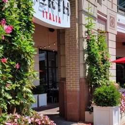 NORTH ITALIA - Updated August 2025 - 725 Photos & 491 Reviews - 11898 ...