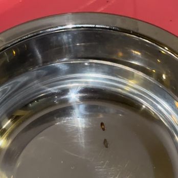 BELLE SPRING BRANCH - Updated December 2025 - 66 Photos & 14 Reviews ...