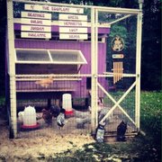 MEYER HATCHERY - 74 Photos & 20 Reviews - 626 State Rte 89, Polk, OH - Yelp