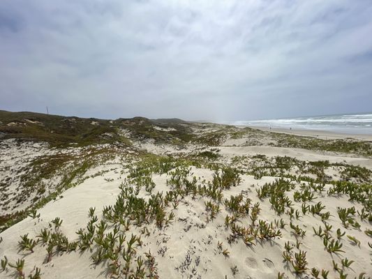 SURF BEACH - AMTRAK STATION - Updated May 2025 - 70 Photos - Ocean Ave ...